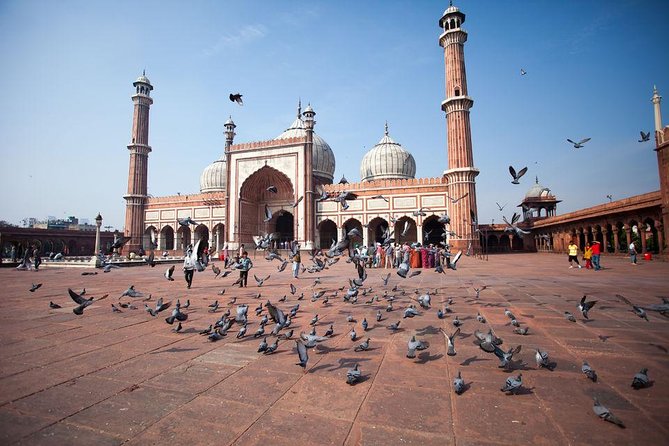 Early Morning Delhi Tour - What’s Included and What’s Not