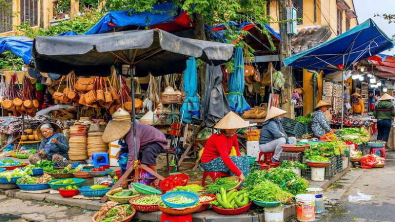 Eco tour and cooking class in Cam Thanh village - Who Should Consider This Tour?
