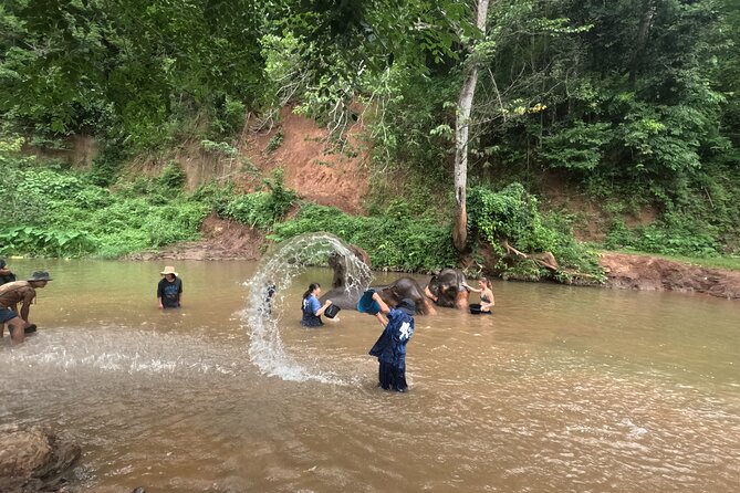 Elephant care program at Chiangmai Elephant Care - The Sum Up: Who Is This Tour Best For?