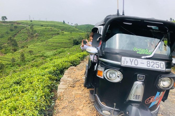 Ella Day Trip from Mirissa, Weligama, Galle, Hikkaduwa - Pricing and Value Analysis