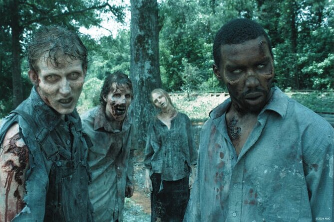 Escape Game Outdoor The Walking Dead in Pau - Who Will Love This Experience?