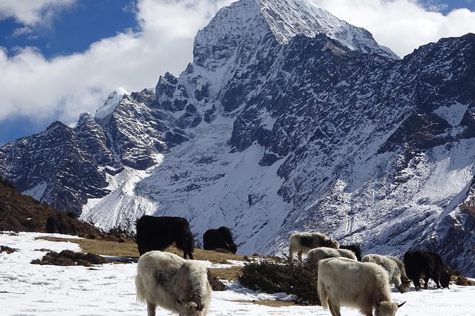 Everest Base Camp Helicopter Tour - Practical Tips for Future Travelers