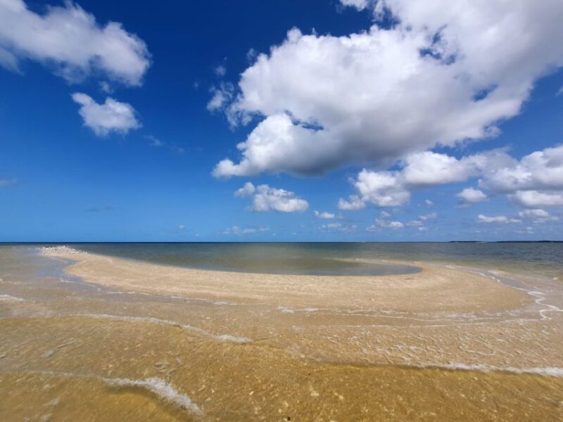 Everglades National Park: Motorboat Eco Tour - The Sum Up: Is It Worth It?