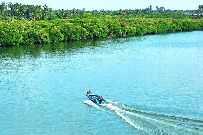 Exclusive : Muthurajawela Bird Watching Tour - Who Should Consider This Tour?