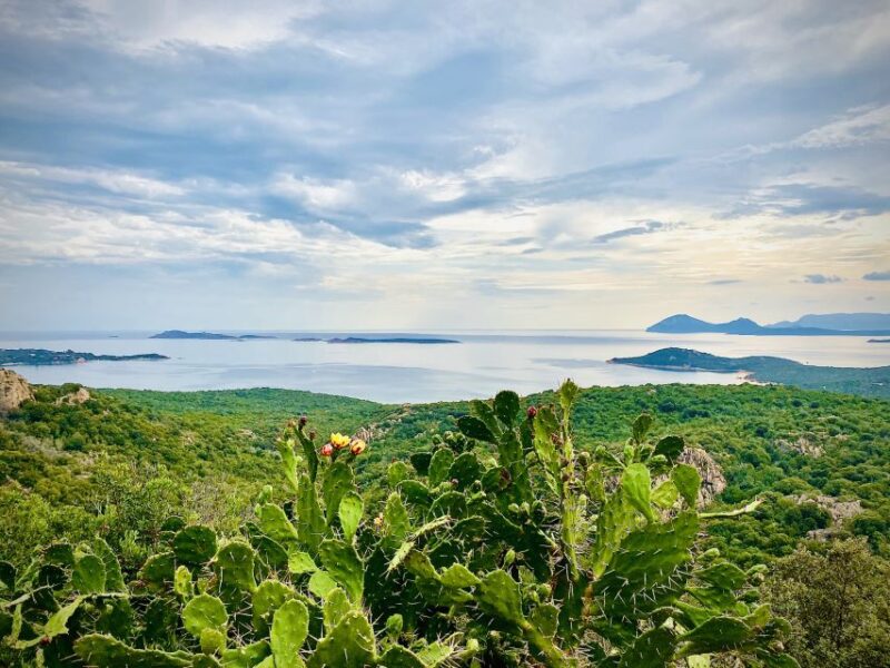 Experience Sardinia:North Coast Tour Between Sea and History - Who Should Consider This Tour?