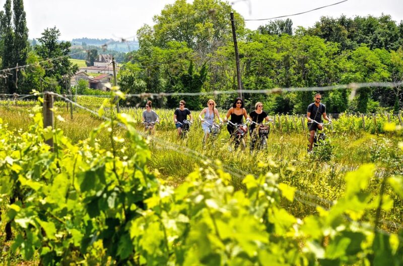 Explore Saint-Émilion on e-Bikes: Small Group, half-Day Tour - FAQ