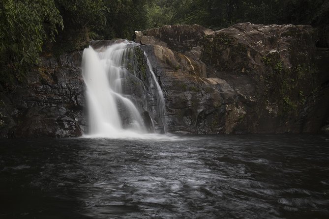 'Explore Sinharaja' rainforest - Discovery Tour (half day) - Final Thoughts