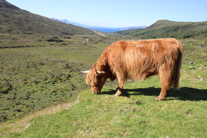 Explore the Isle of Skye in a full day tour - The Sum Up