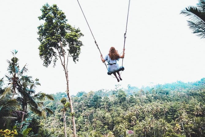 Explore Ubud Art Market, Monkey Forest and Rice Terraces - The Sum Up