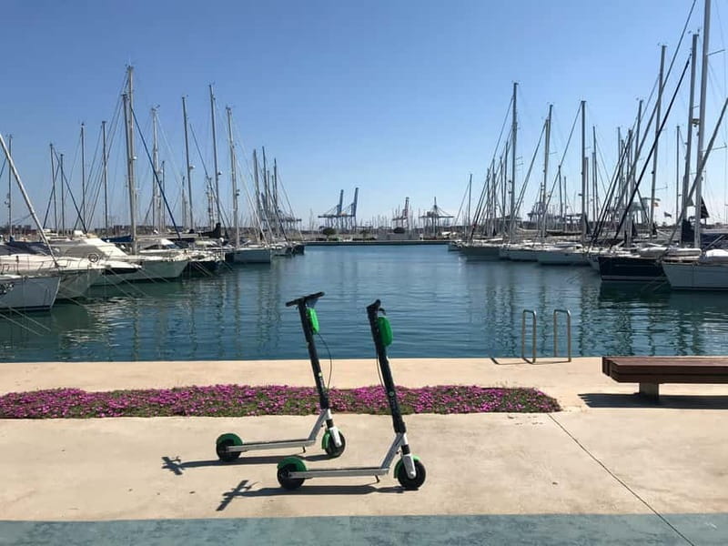 Explore Valencias Coast: Boat trip to Valencian Venice - Potential Drawbacks Worth Considering