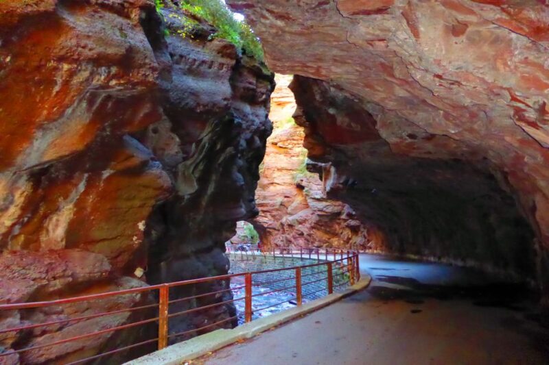 Fabulous Red Canyon and Entrevaux, Private Full day Tour - What Reviewers Say