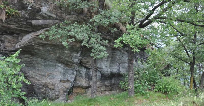 FAUNA AND FLORA OF EXPOSED AND ENGRAVED ROCKS - The Journey Through Geological and Archaeological Layers