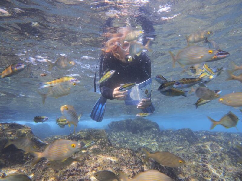 Flamingo Beach: Guided SUP and Snorkeling experience - Who Should Consider This Tour?
