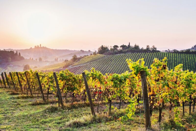 Florence: Siena & San Gimignano Day Trip with Lunch & Wine - What’s Included and What’s Not