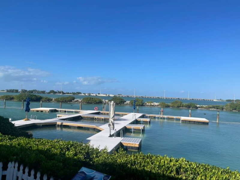 Florida Keys: Dockside Dolphin Experience - Authentic Experiences & Real Feedback