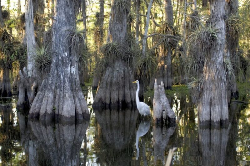 Florida Keys: Key West Kayak Eco Tour with Nature Guide - The Value of the Tour