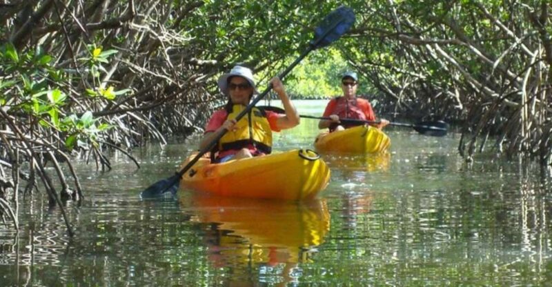 Fort Myers: Guided Kayak or SUP Tour in Pelican Bay - The Wildlife and Scenery