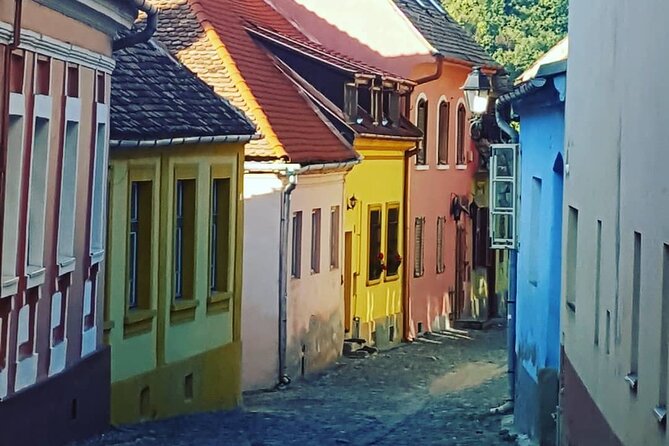 Fortified castles/citadels of Transylvania (2 Days Private Tour from Bucharest) - Who Should Consider This Tour?