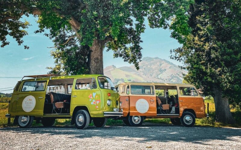 French Basque Country Private Day Tour in an 70's VW Combi - Who Should Consider This Tour?