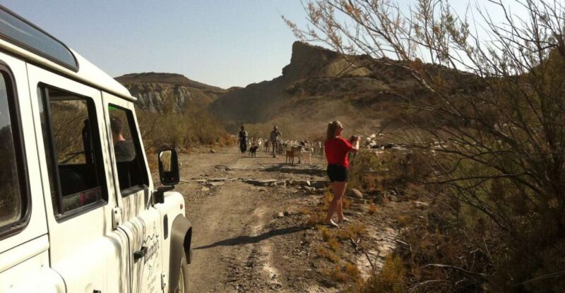 From Almeria: Tabernas Desert 4WD joyriding Tour - The Small Group Advantage