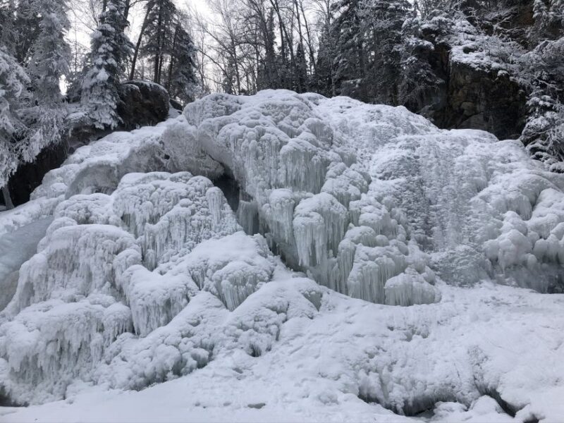 From Anchorage: Chugach State Park Winter Walking Tour - Who Will Love This Tour?