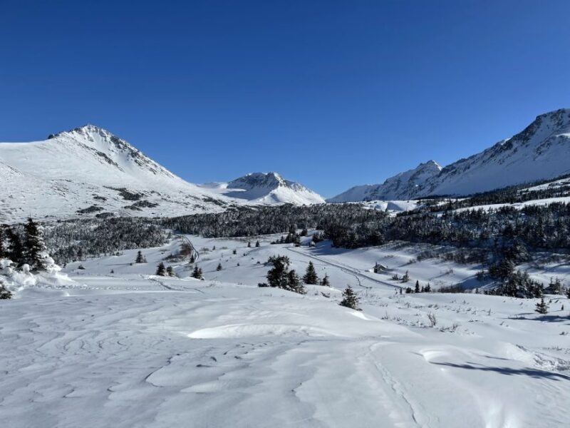 From Anchorage: Glen Alps Beginner's Snowshoeing Adventure - FAQ