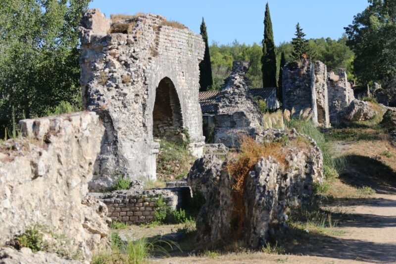 From Arles: Alpilles Regional Park Provence 4x4 Safari - The Experience and the Guides