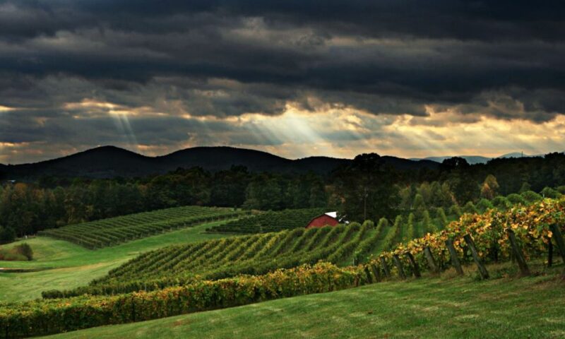 From Atlanta: North Georgia Wine Country Tour - The Charm of Helen: Bavarian Mountain Town
