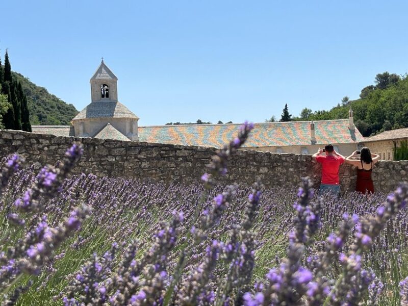 From Avignon: Lavender Tour around Valensole or Sault - Lavender Fields around Valensole