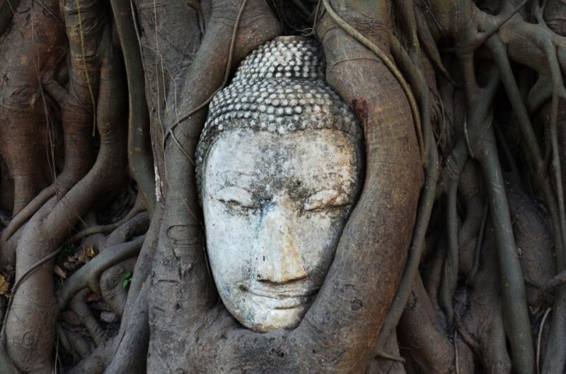 From Bangkok: Ayutthaya Heritage Site & Boat Ride (Private) - Who Will Love This Tour?
