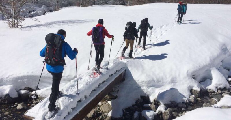 From Barcelona: Snowshoeing in the Pyrenees - What’s Included and What’s Not