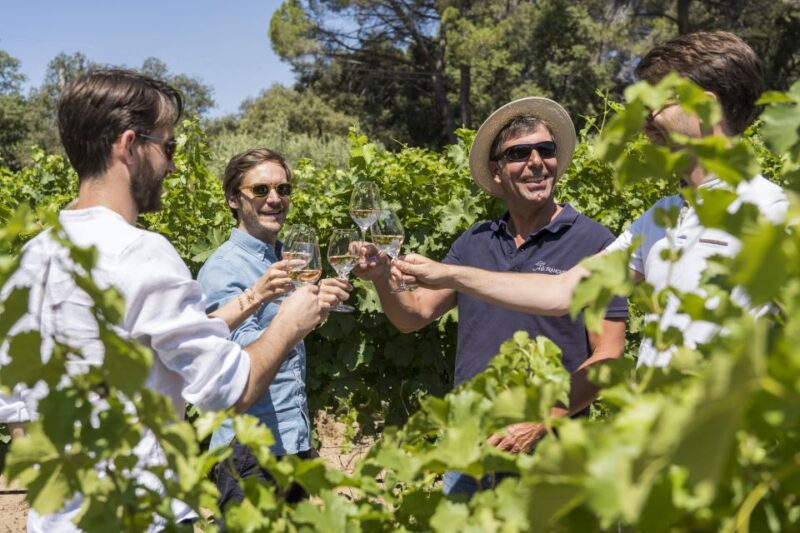 From Bordeaux: Saint-Emilion Day Trip with Lunch and Wine - Who Should Consider This Tour
