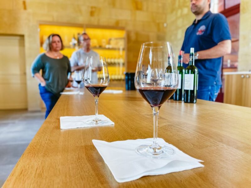 From Bordeaux: Saint-Emilion Guided Wine Tasting Tour - Who Should Consider This Tour?