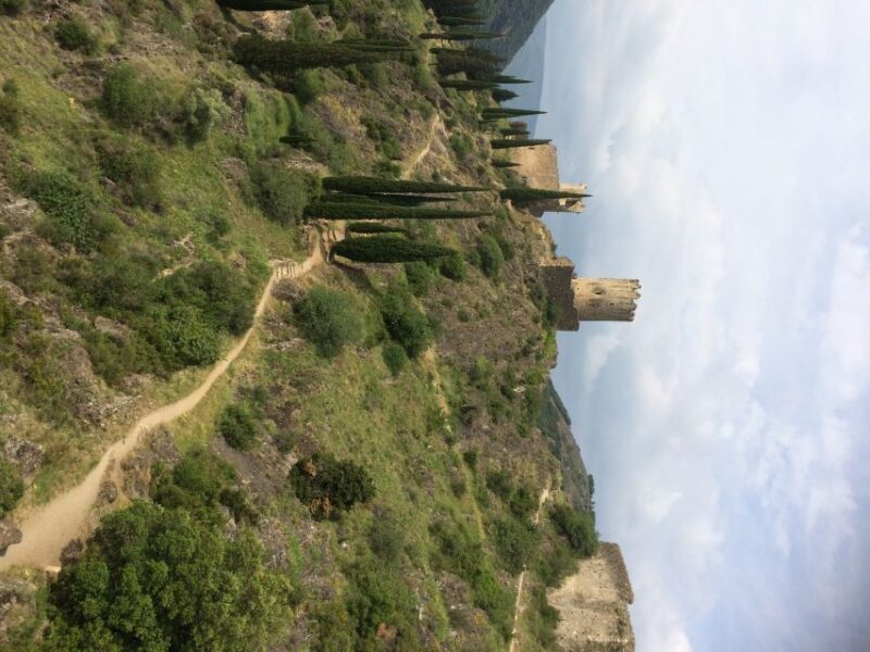 From Carcassonne:Lastours Castles & Carcassonne Guided Tour - Who Is This Tour Best For?