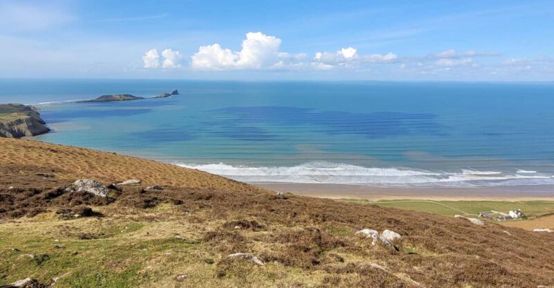 From Cardiff: The Wandering Bard's Swansea Bay Day Tour - Authentic Experiences and Reviews