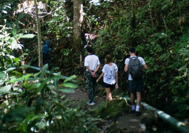From Chiang Mai: Doi Inthanon National Park Day Trip & Hike - Final Thoughts: Is It Worth It?