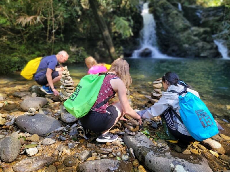 From Da Nang or Hoi An: Bach Ma National Park Trek & Lunch - Final Thoughts: Who Is This Tour For?