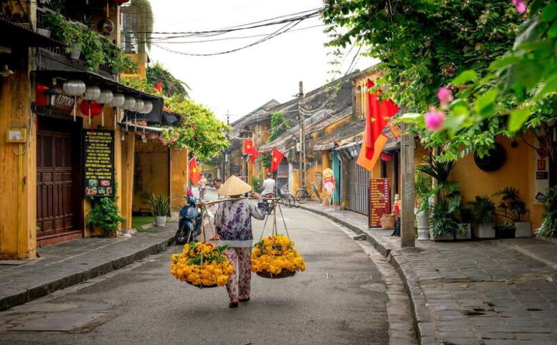 From Danang: Coconut Jungle, Hoi An City, Lantern Release - Transportation, Timing, and Group Size