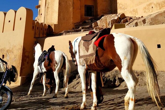 From Delhi: Private Jaipur Tour by Car - All Inclusive - Wrapping Up and Returning to Delhi