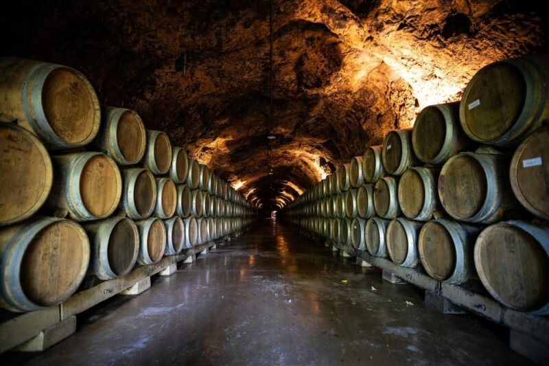 From Dijon: Burgundy Villages and Wine Tasting Tour - A Closer Look at the Itinerary