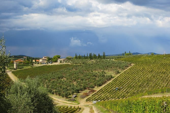 From Florence to Siena - San Gimignano & Pisa by private minivan - The Costs and the Value