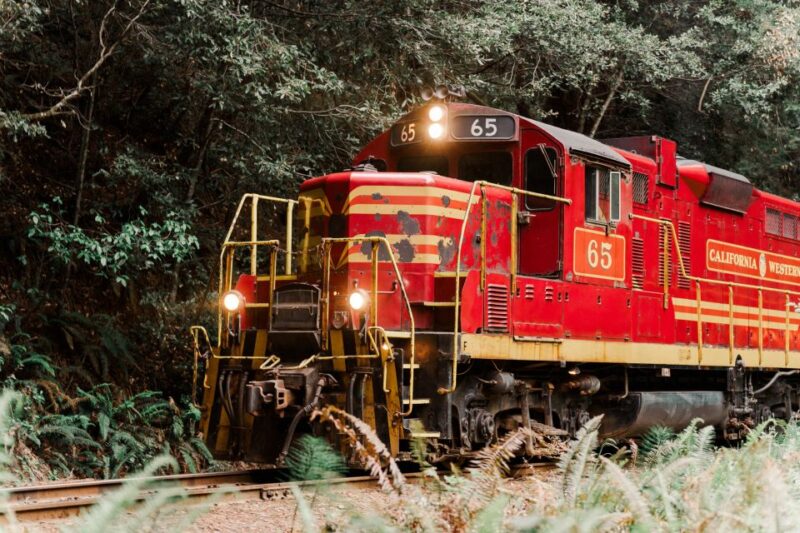 From Fort Bragg: Redwoods Train Ride and Nightclub Ticket - Whats Included and What to Budget For