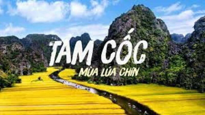 From Ha Noi: Ninh Binh Tour Bai Dinh Trang An-Mua Cave - Who Will Love This Tour?