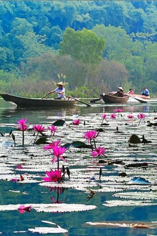 From Ha Noi: Perfume Pagoda  A Pagoda In Deep In A Cave - Cultural Highlights and Historical Significance