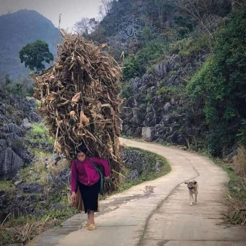 From Hanoi: 5-Day Ha Giang, Cao Bang, and Ba Be Lake Tour - Practical Tips for Participants