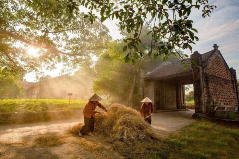 From Hanoi: Duong Lam Ancient Village Private Full-Day Trip - Price and Value