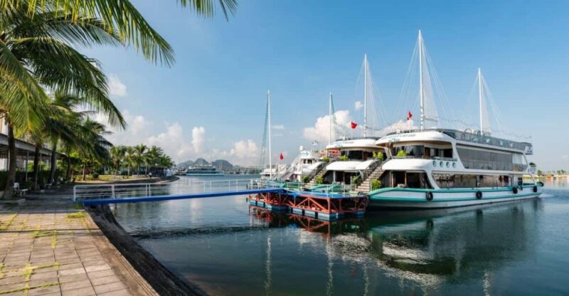 From Hanoi: Halong Wonder bay cruise 01-day - What Travelers Say