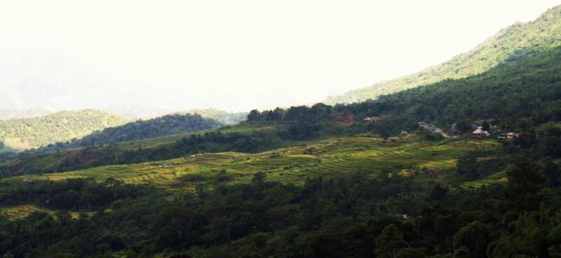 From HaNoi: Pu Luong 2 days journey to beautiful nature. - What Makes This Tour Worth It?