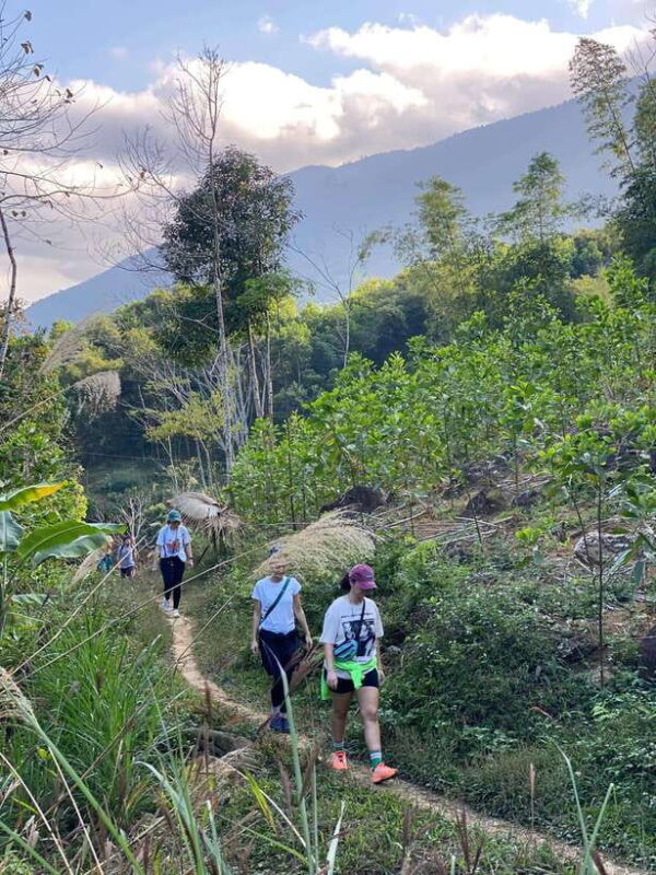 From Hanoi: Pu Luong 3-day classic tour, finish in Ninh Binh - Final Thoughts: Is It Right for You?
