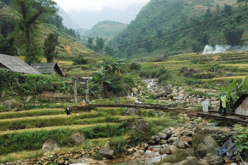 From Hanoi: Sapa 2D1N Homestay overnight by Morning bus - Authentic Experiences and Participant Feedback